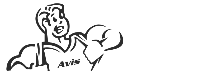 Avis Plumbing and Air Conditioning: Cape Coral Plumber and AC Repair